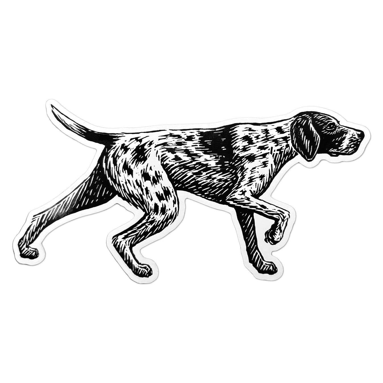 German Shorthaired Pointer Sticker – Dog Gone Studios